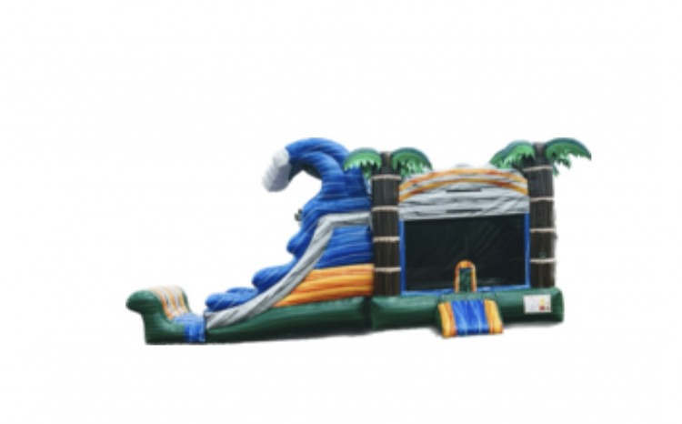 Bounce House/Slide Combo - Bounce Above